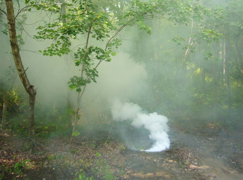Prepper & Survivalist Smoke Grenades